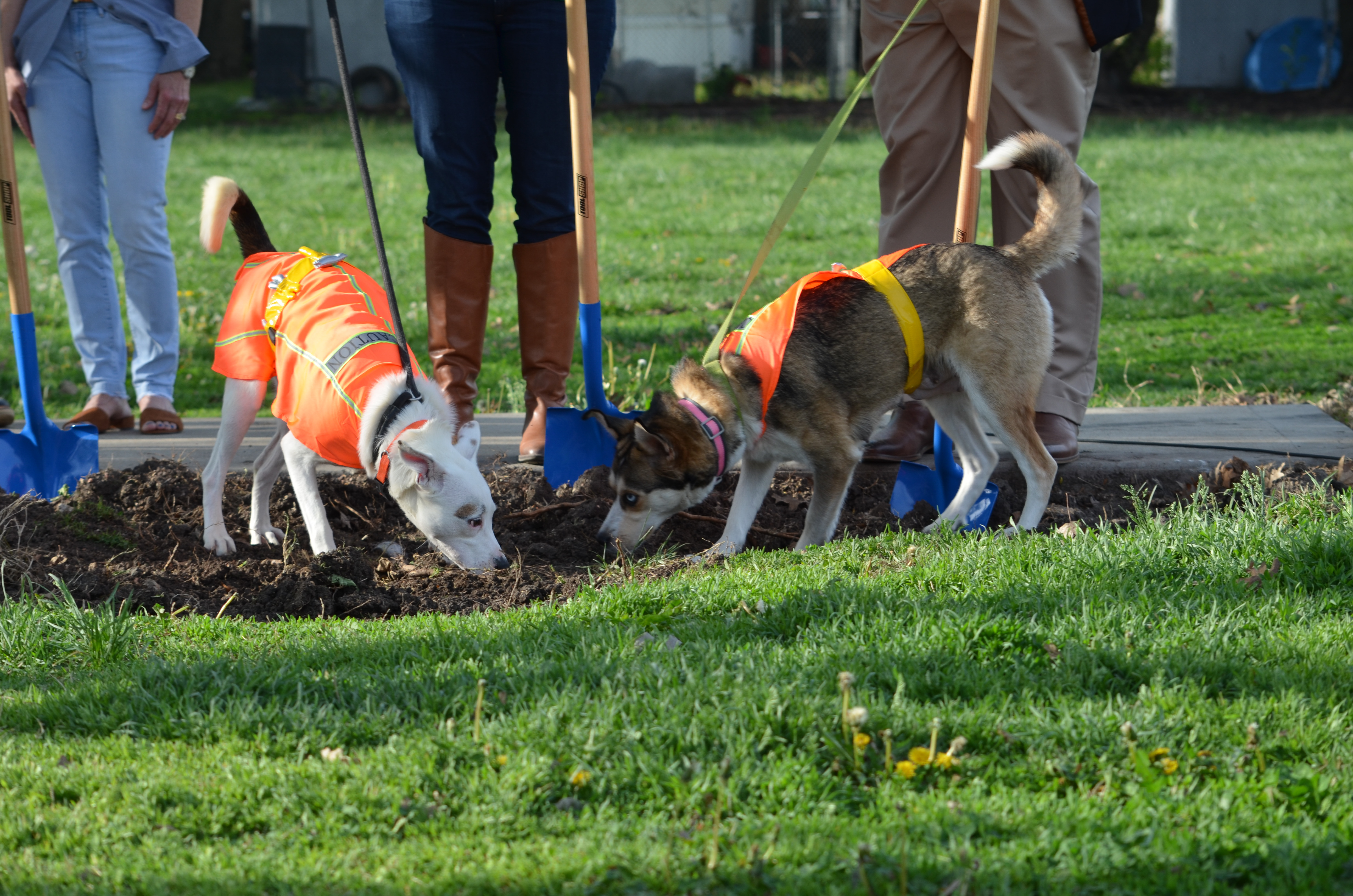 Photo gallery: Lawrence Humane Society breaks ground on new animal ...
